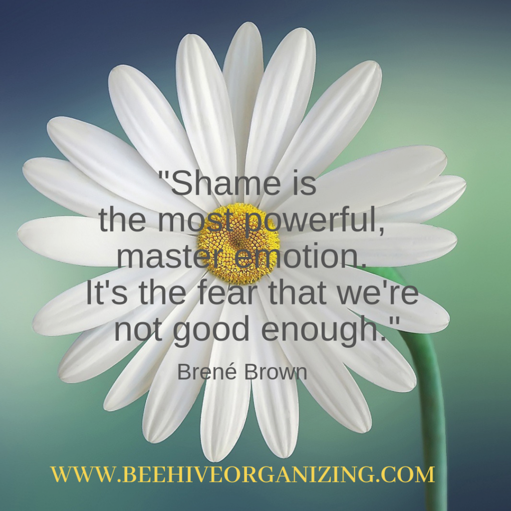From Shame to Joy – Beehive Organizing Professional Organizer